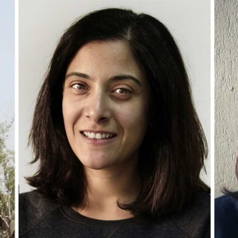 AP journalists win Pulitzer for coverage of Yemen civil war | The ...