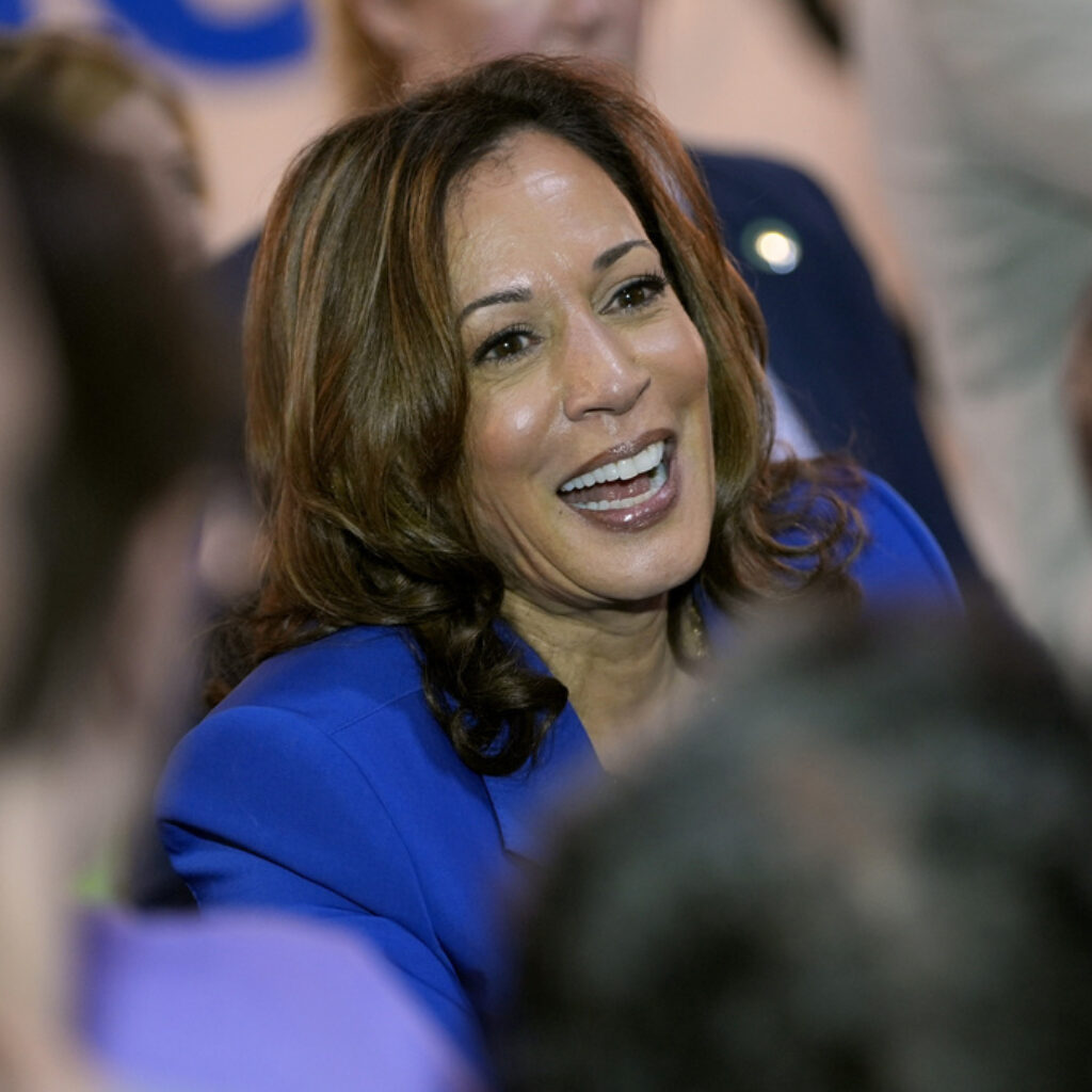 Favorable views of Kamala Harris have risen this summer heading into the DNC, AP-NORC poll shows ...