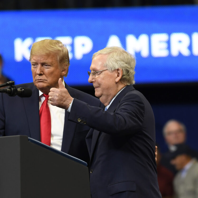 McConnell called Trump 'stupid' and 'despicable' in private after the ...