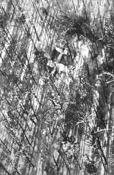 AP Wirephotos 90th anniversary | The Associated Press