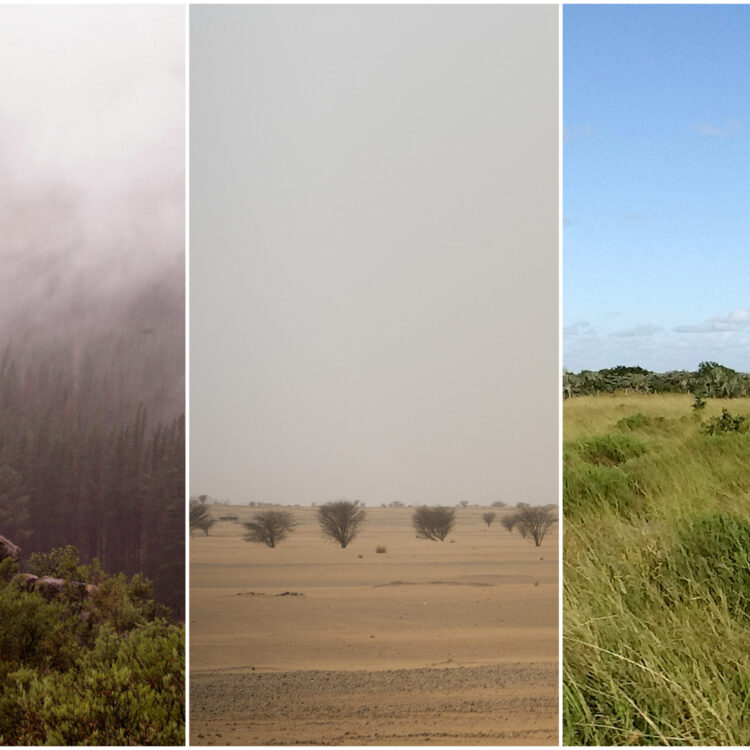 Early humans survived in a range of extreme environments before global ...