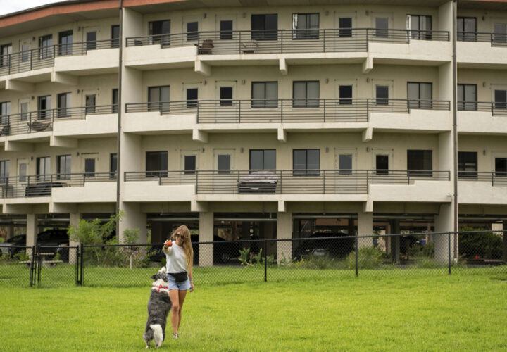 These colleges are welcoming pets in dorms to reduce students' stress ...